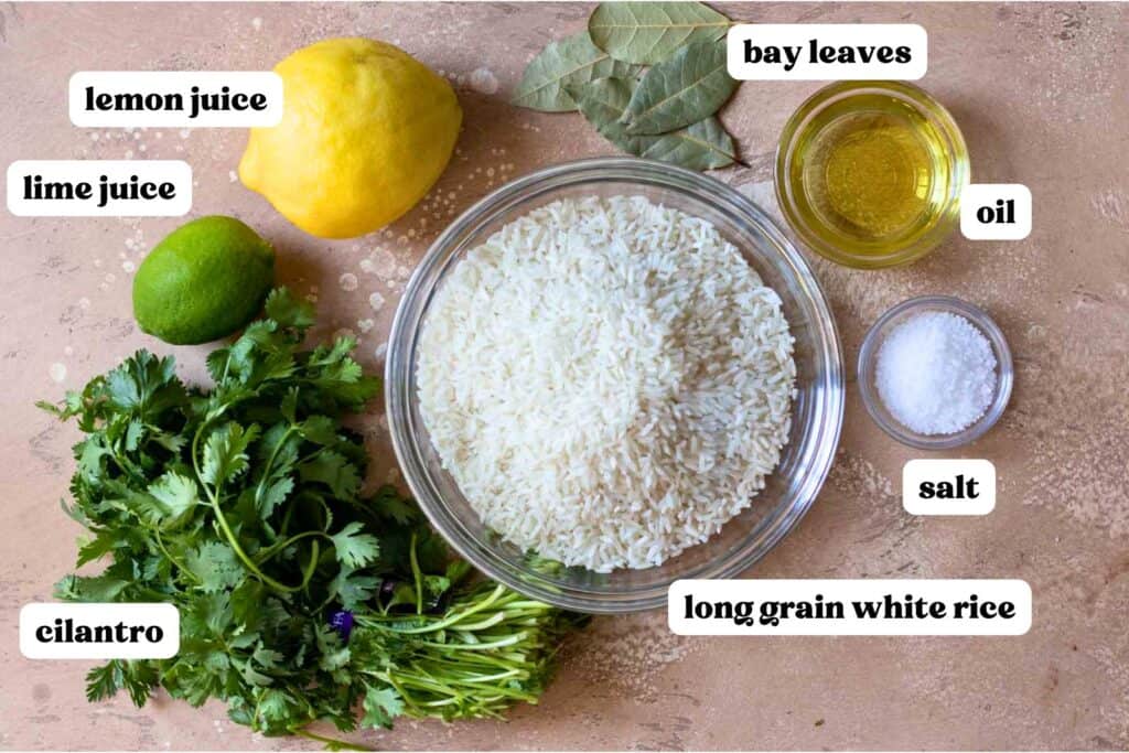 Chipotle Cilantro Lime Rice (Easy Rice Cooker Recipe) - Home-Cooked Roots